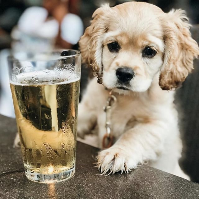 Heartbreakers Bar & Grill - Chaska, MN