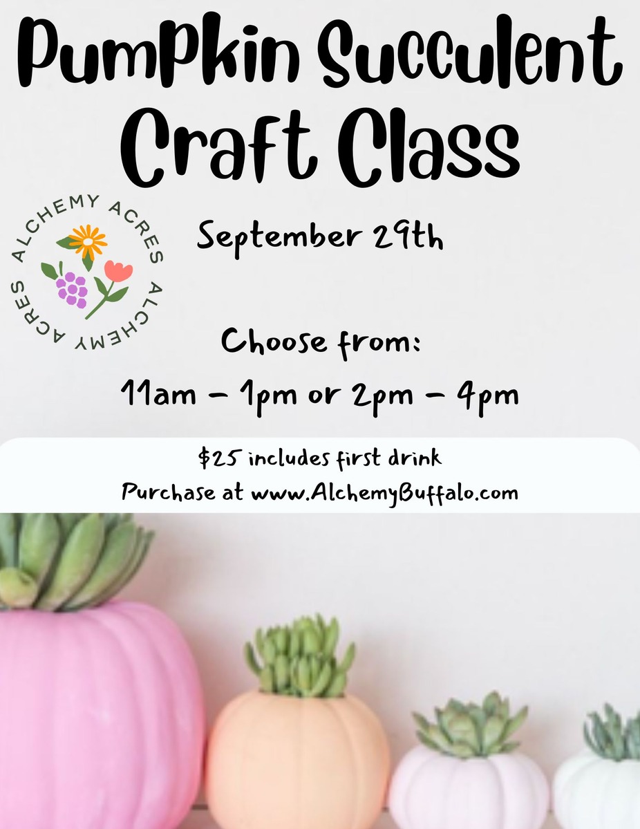 Alchemy Wine & Beer - Events & Tickets