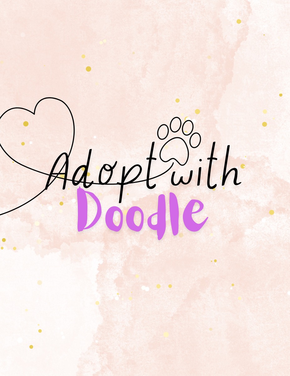 Doodle Drive In - Events