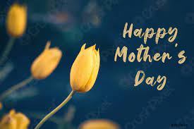 Papa Rocks Pizza Pub - Monroeville, PA