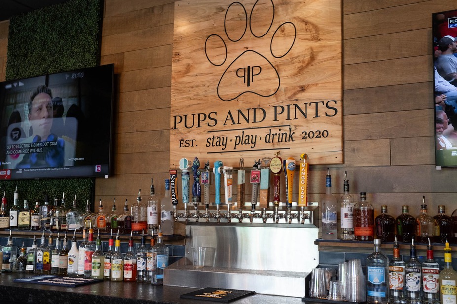 Pups and Pints - Virginia Beach, VA