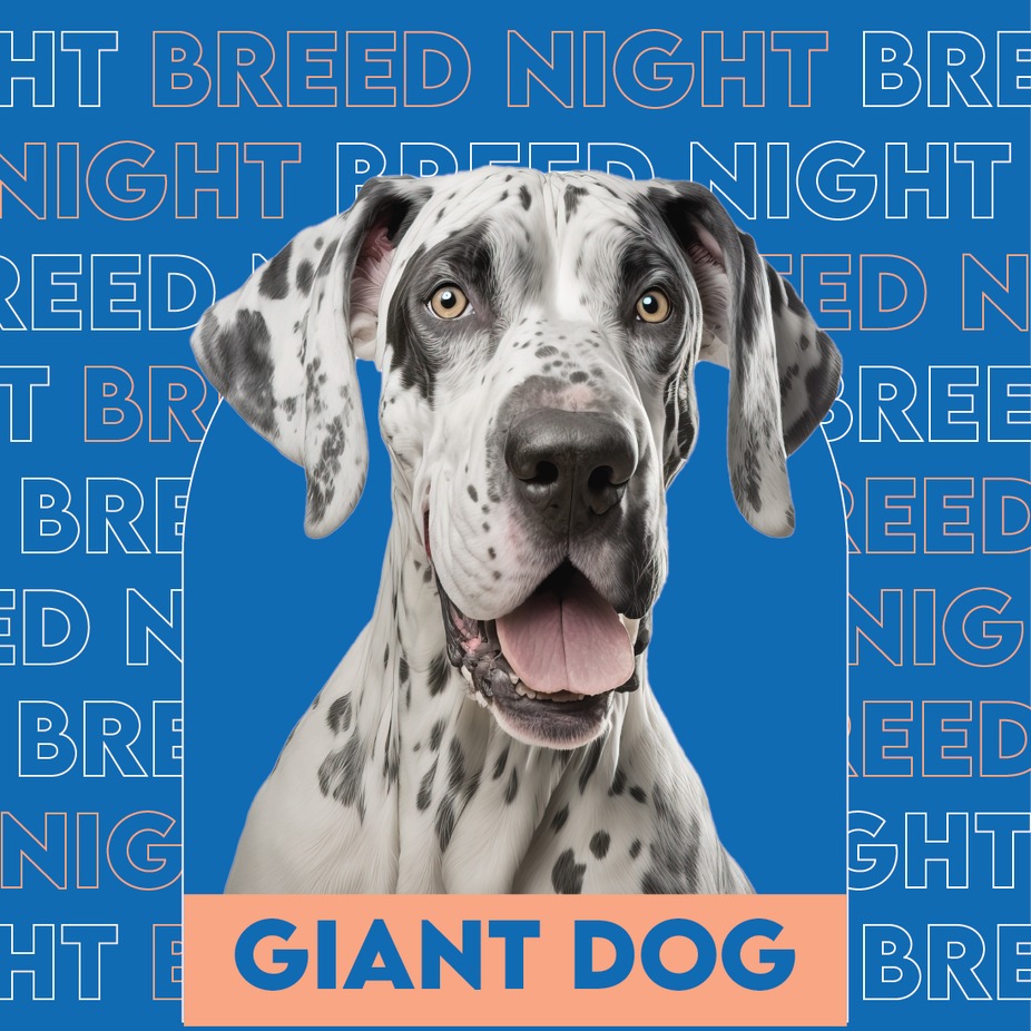 Unleashed Hounds and Hops - Events