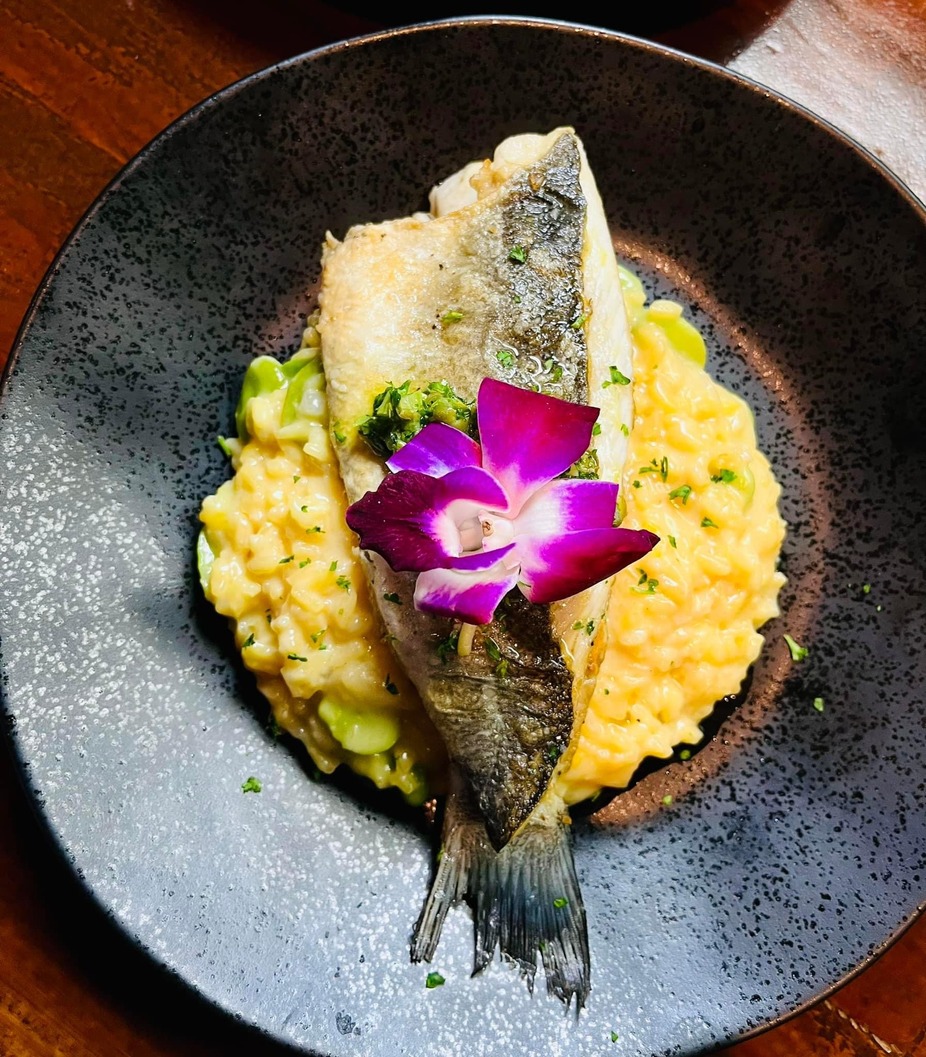 Mezza Luna Pasta and Seafood Smyrna - events