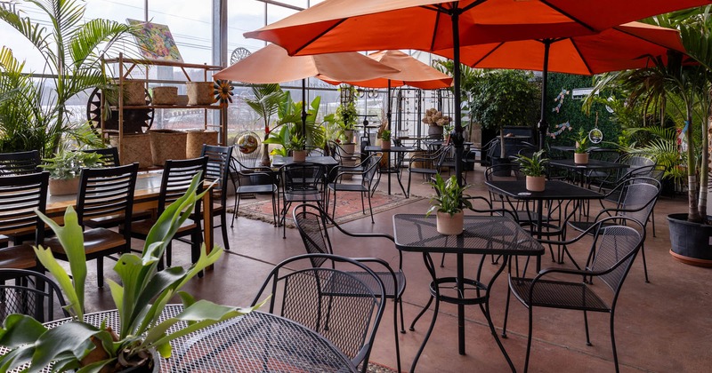 The Bloom Cafe - Groups and Parties