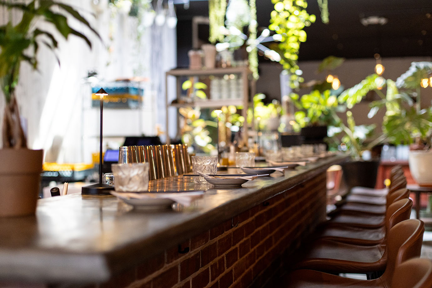 Antidote - Food Menu