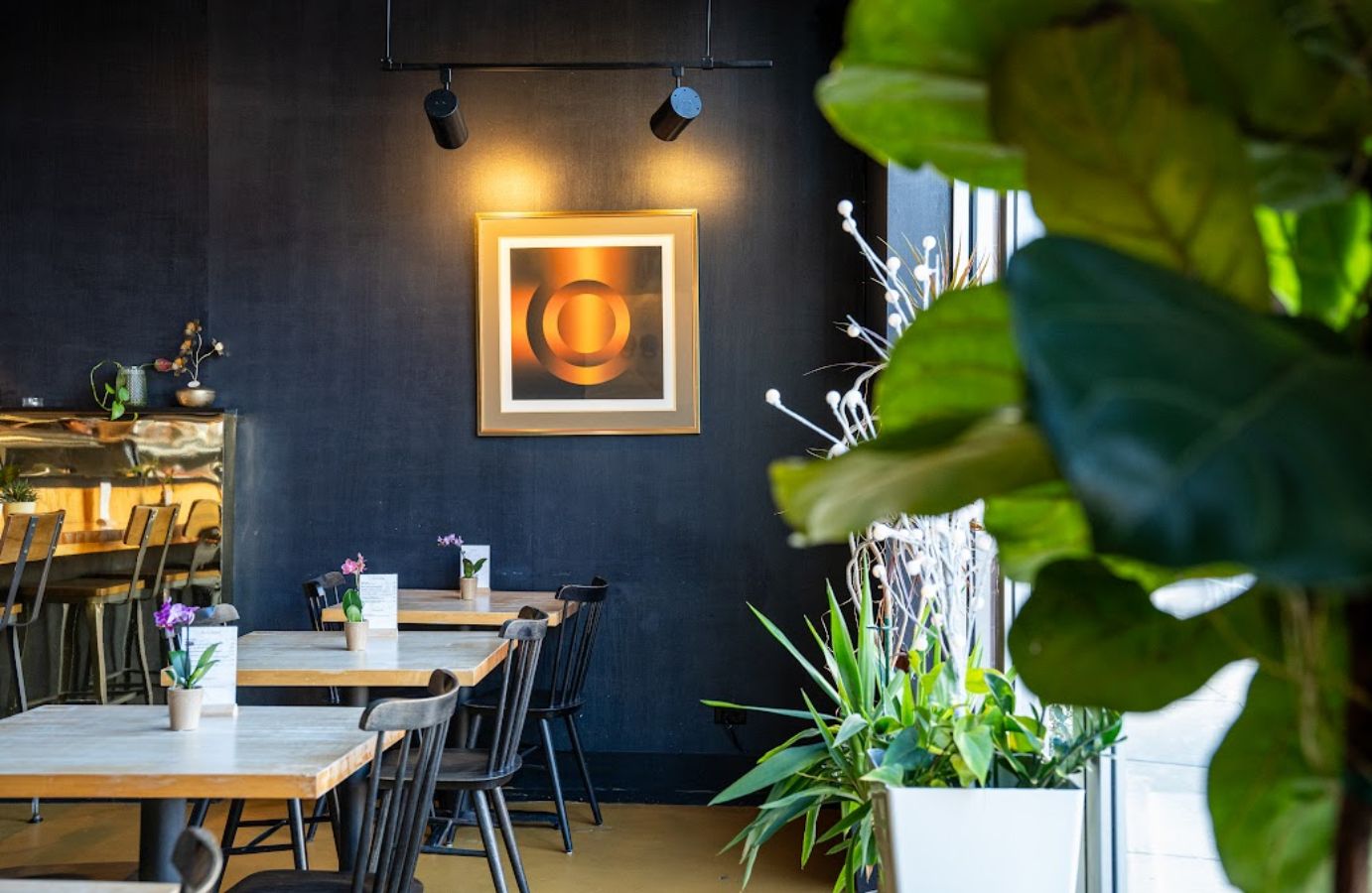 Kin Sushi & Thai Cuisine - Chicago, IL