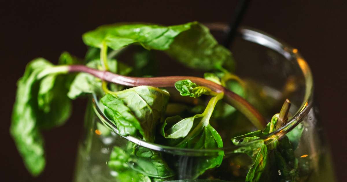 The Row Harlem - New York, NY