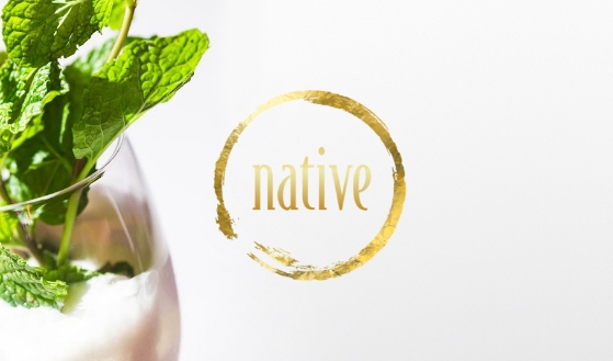 Native Restaurant and Lounge - Parties