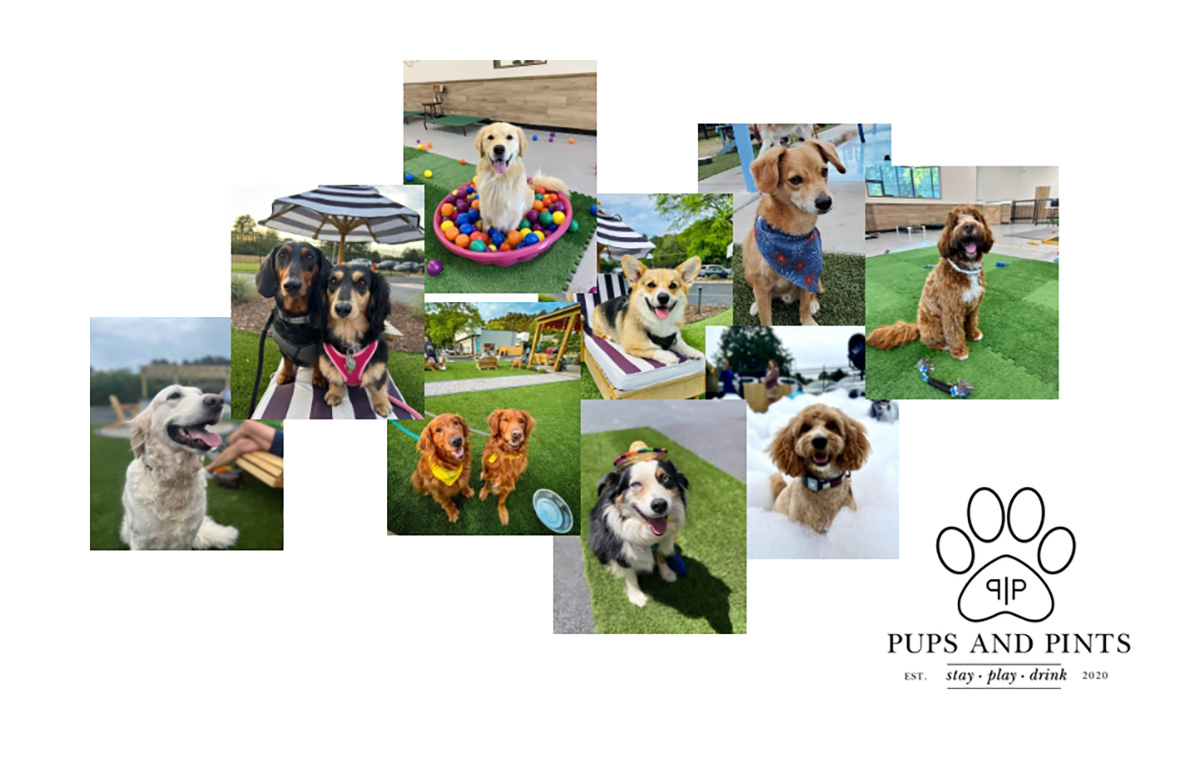 Pups and Pints - First Visit