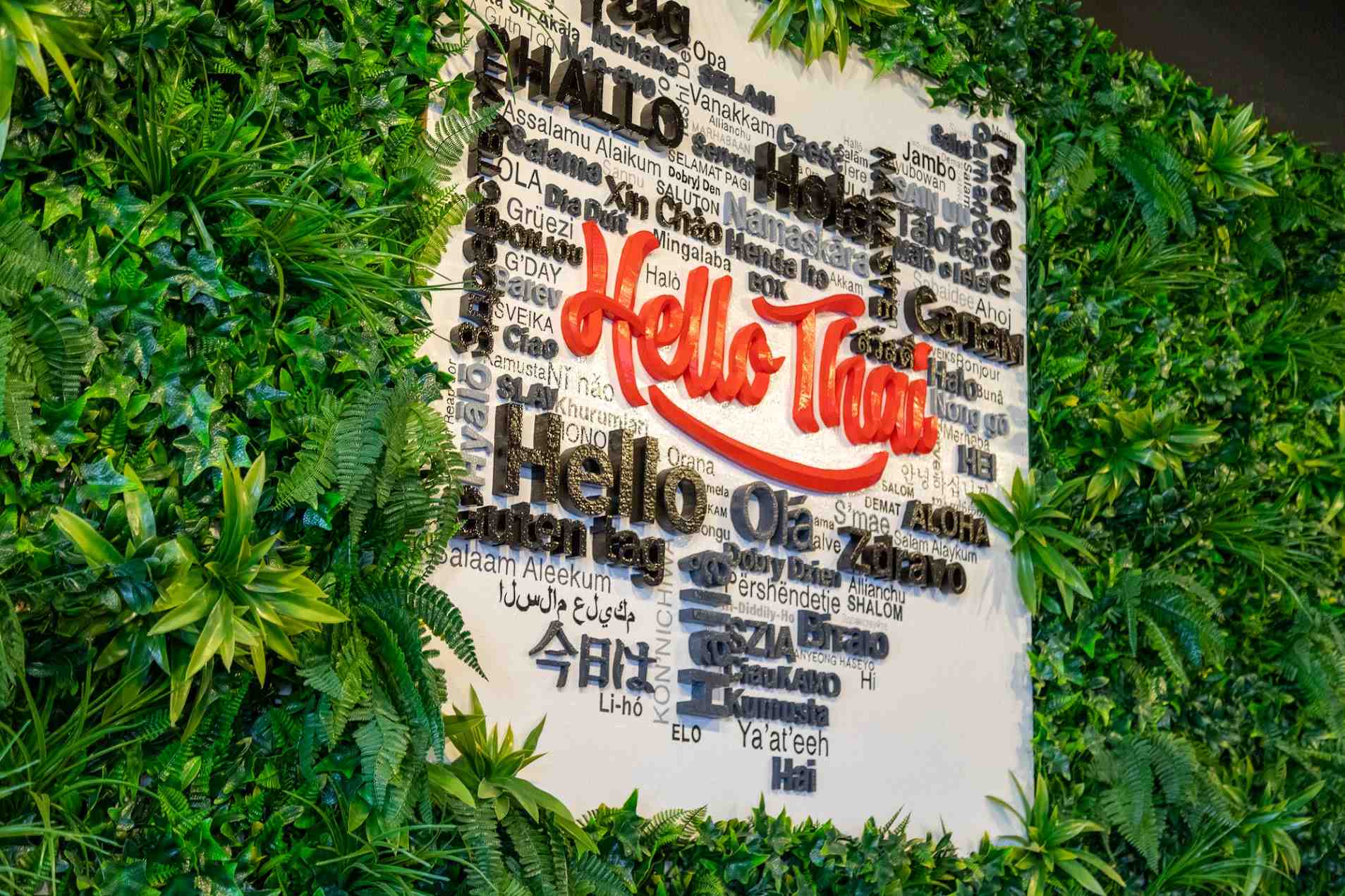 Hello Thai - Food Menu