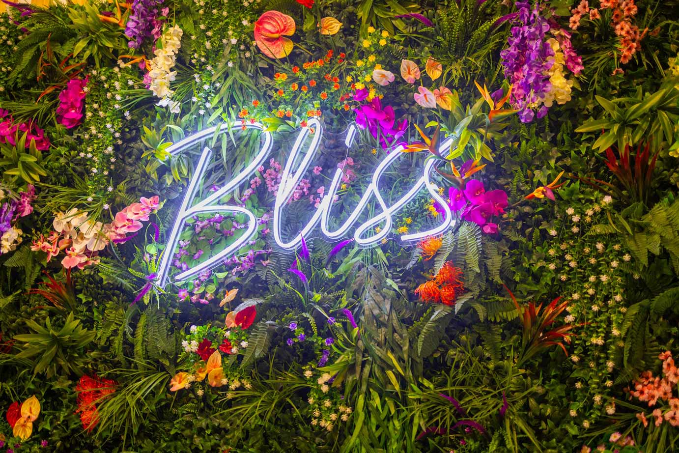 Bliss Restaurant - Food Menu