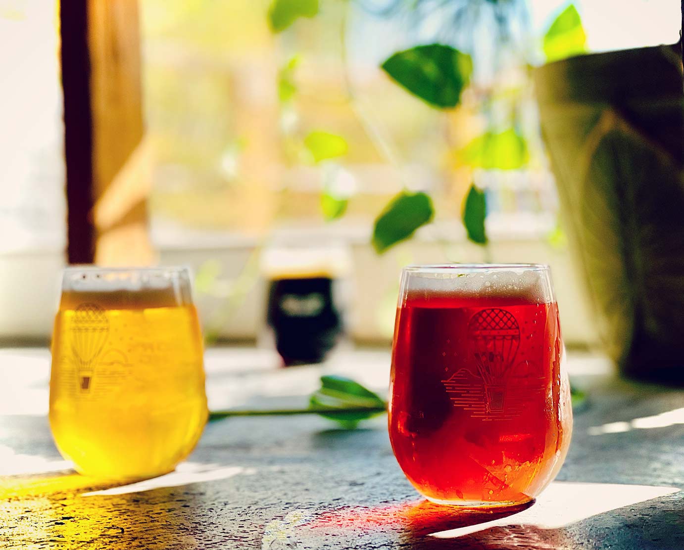 High and Dry Brewing - Nob Hill, Albuquerque, NM