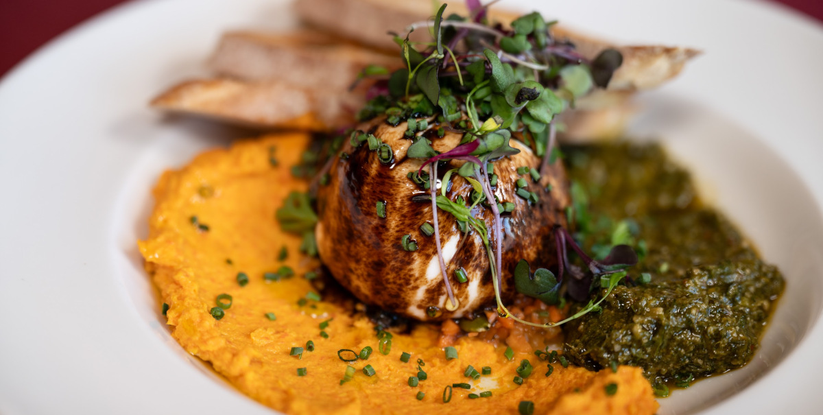 VINCA on Pearl - Colorado, Boulder, CO