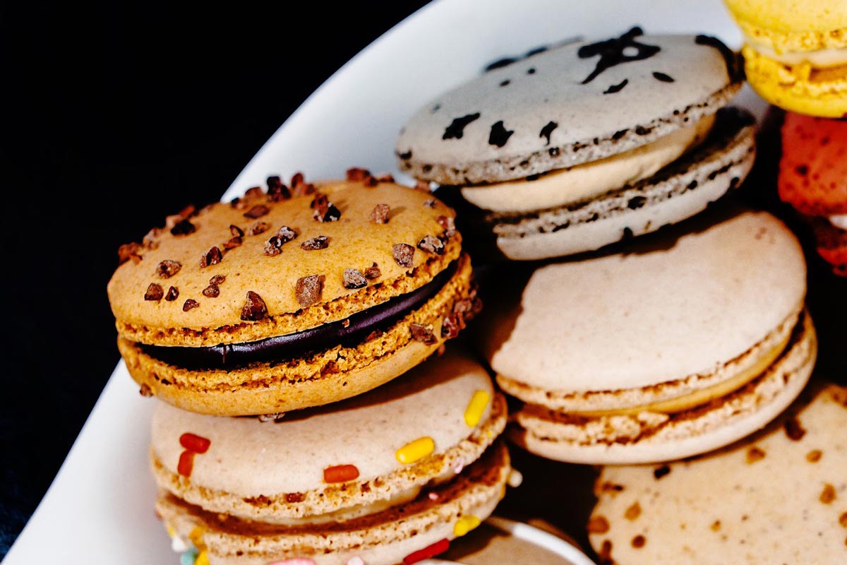 Chocolate Lab - Radcliff, KY