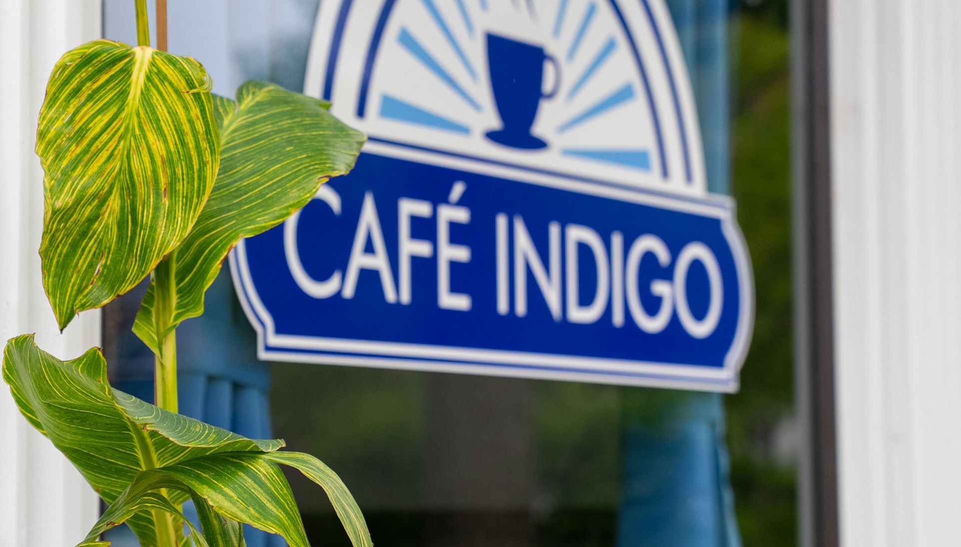 Cafe Indigo - Food Menu